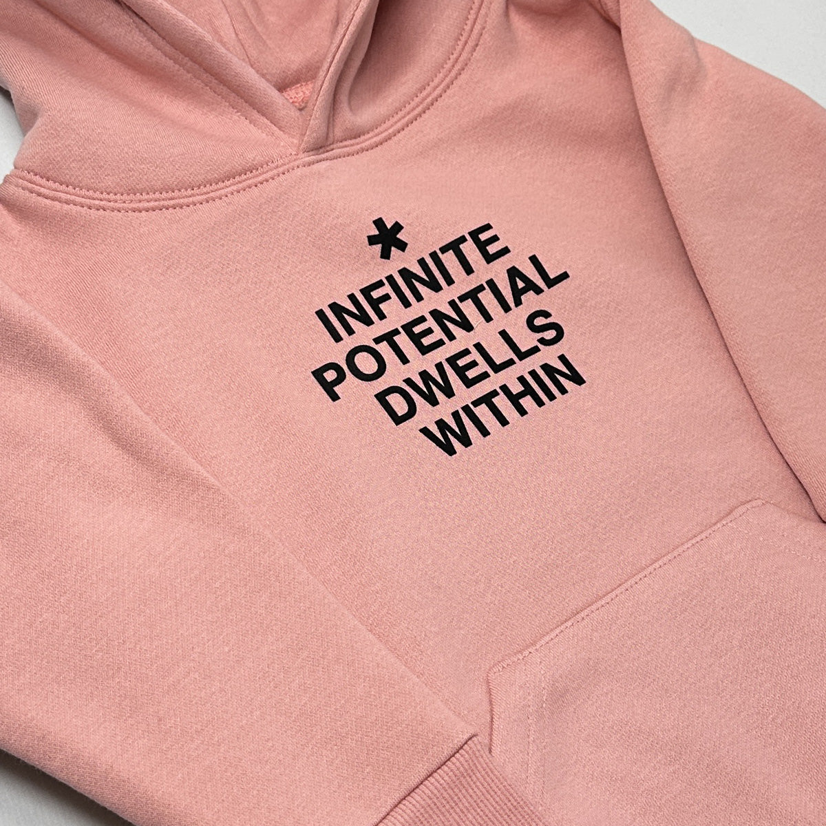 Infinite Potential Hoodie (Salmon) – Little Giants